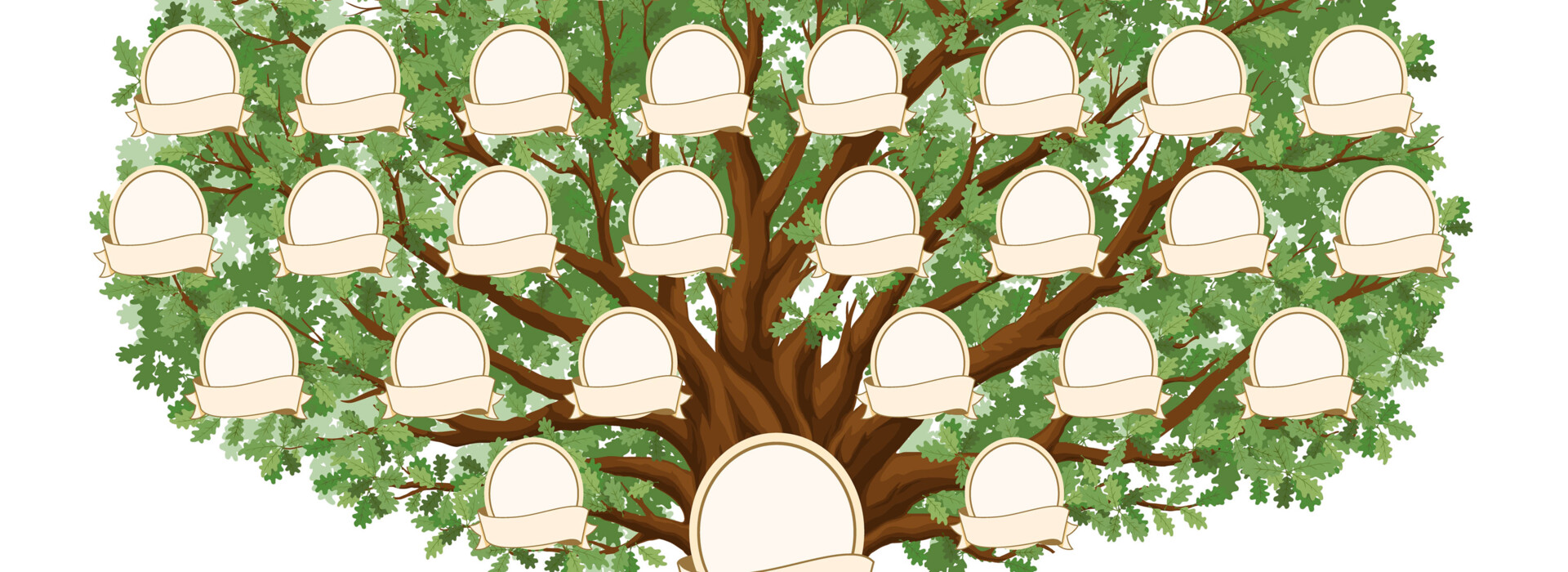 Vintage Genealogy Family Tree Vector - FlippedNormals